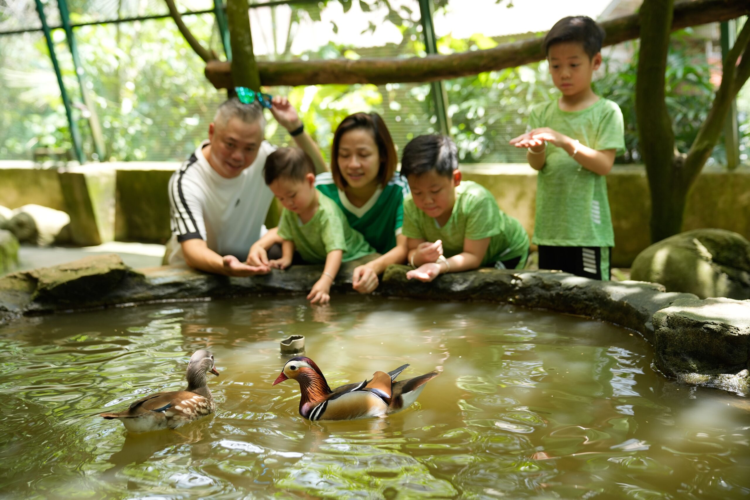 Farm In The City | Animals Plants Nature - Tourism Selangor