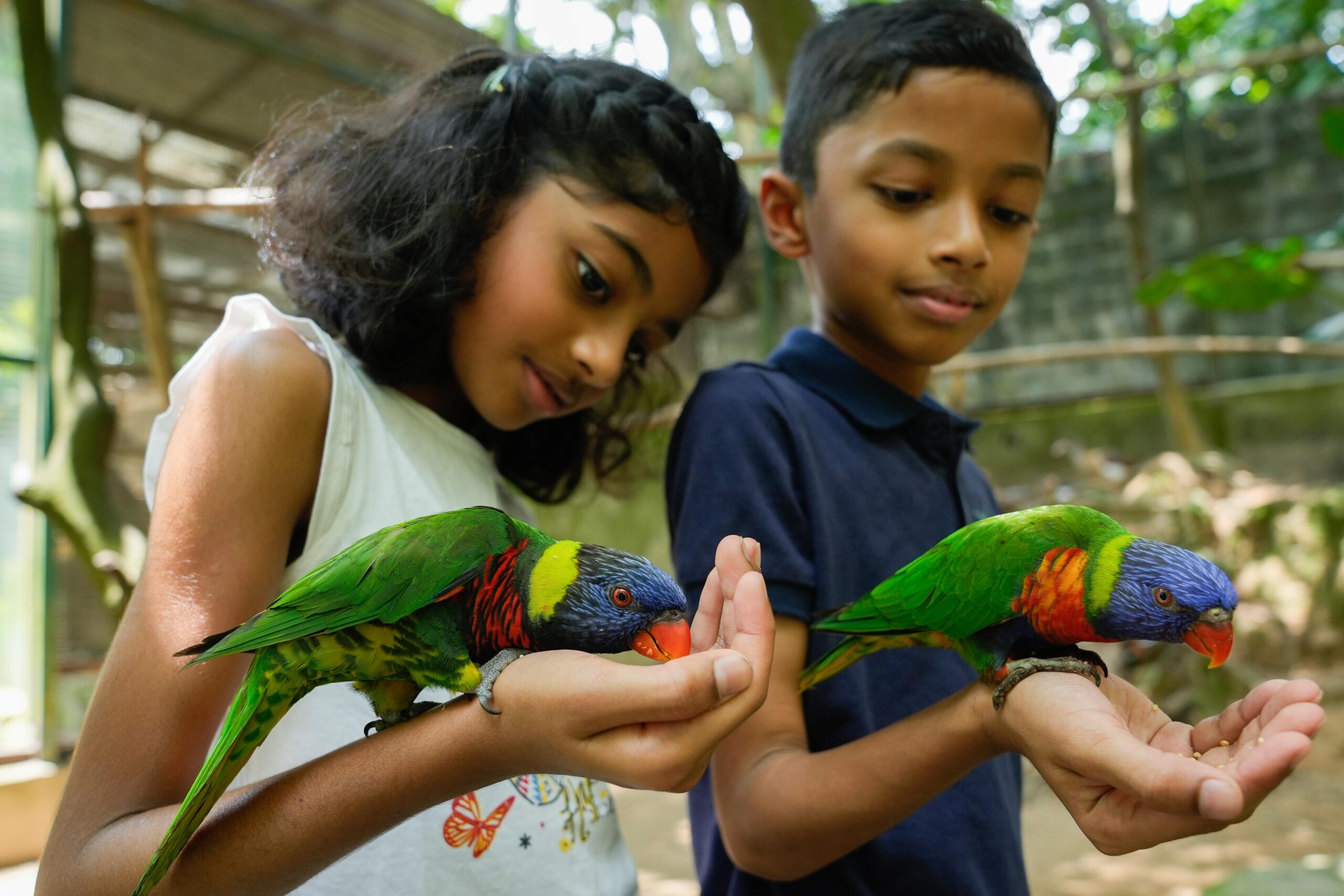 Farm In The City | Animals Plants Nature - Tourism Selangor