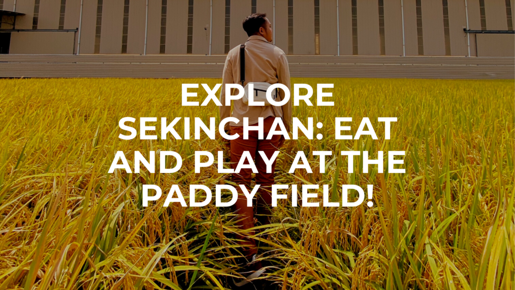 EXPLORE SEKINCHAN: EAT AND PLAY AT THE PADDY FIELD - Tourism Selangor