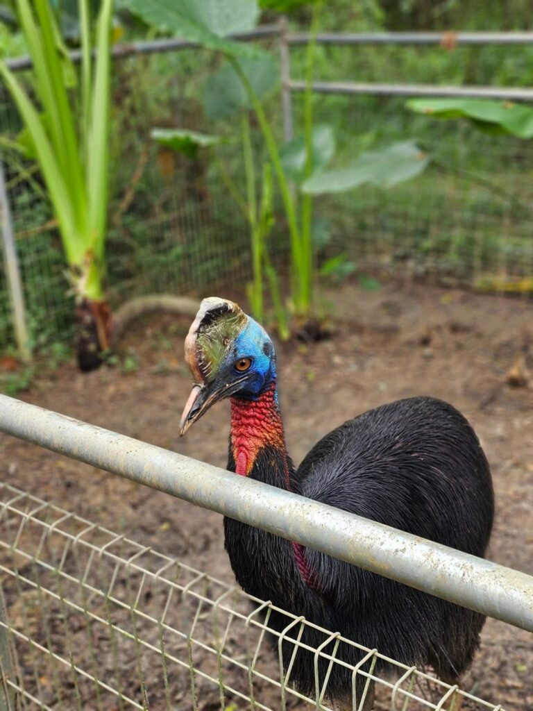 7 PETTING ZOO AND FARM ANIMALS AROUND SELANGOR - Tourism Selangor