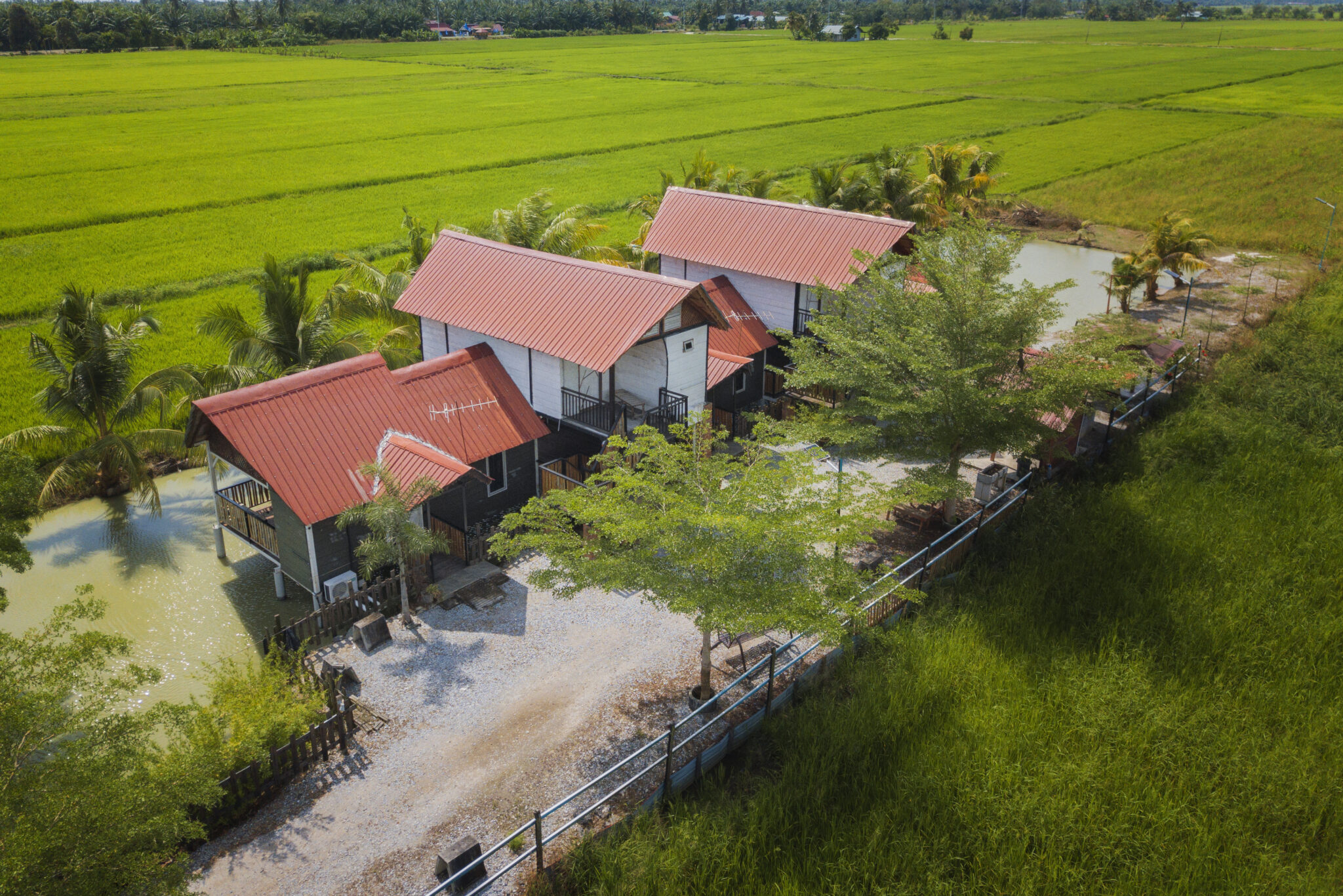 Sabak Bernam: Too Good To Miss. - Tourism Selangor